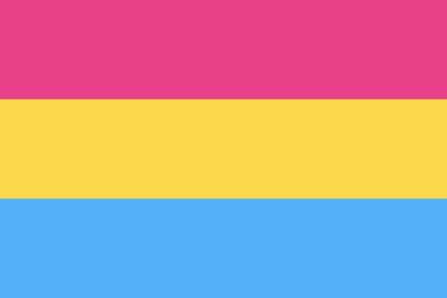 Fun With Flags - a collection of LGBT+ flags - Pride in Belper